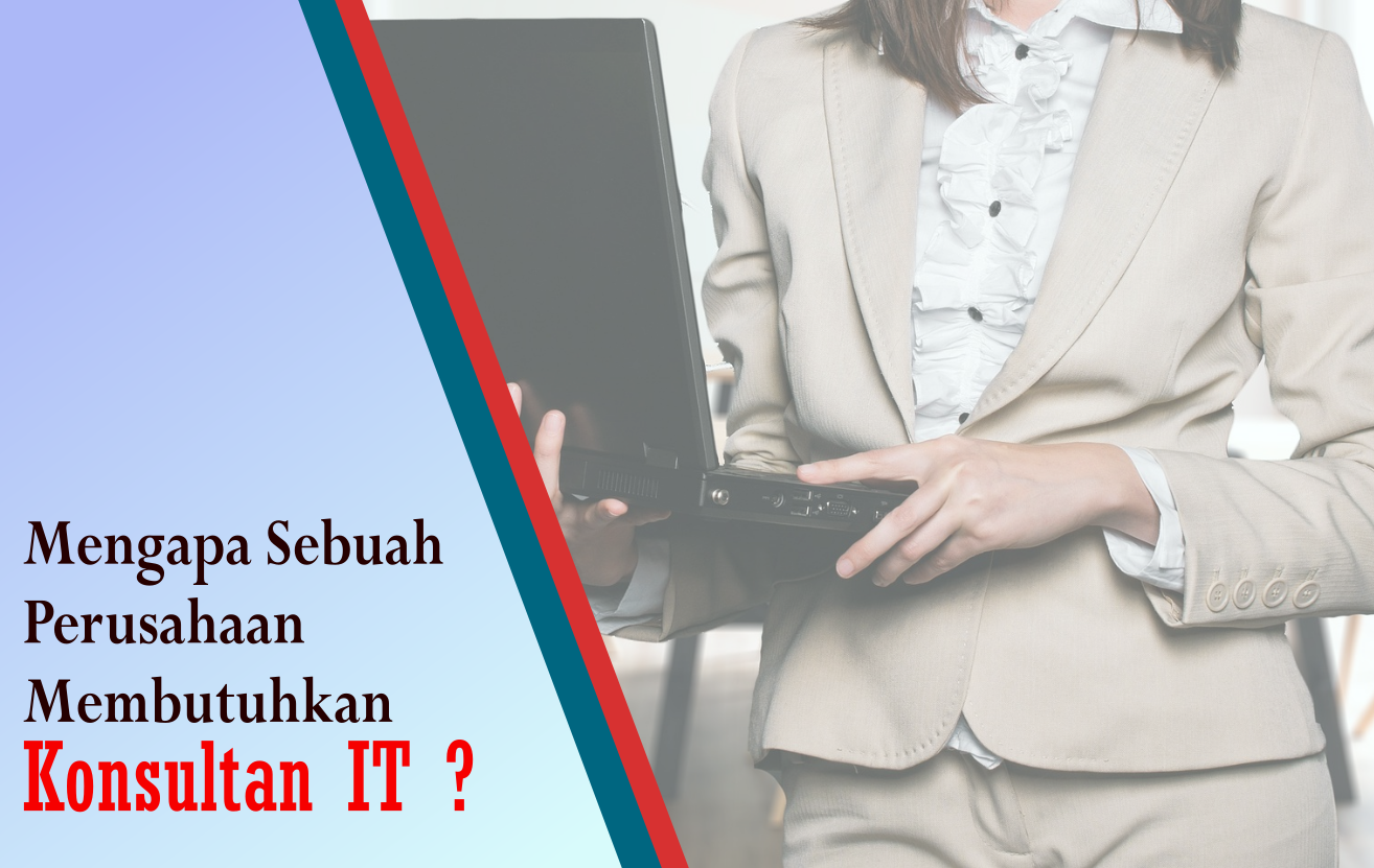 Pentingnya Konsultan IT Untuk Perusahaan ~ PT. Network Data Sistem