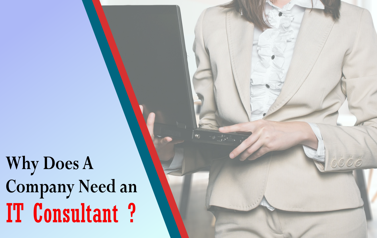 Importance of IT Consultants For Companies ~ PT. Network Data Sistem