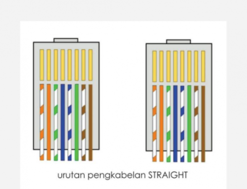Getting to Know the CAT 6 LAN Cable Arrangement (CAT 6 Panduit) ~ PT ...