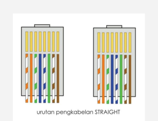 Getting to Know the CAT 6 LAN Cable Arrangement (CAT 6 Panduit) ~ PT ...