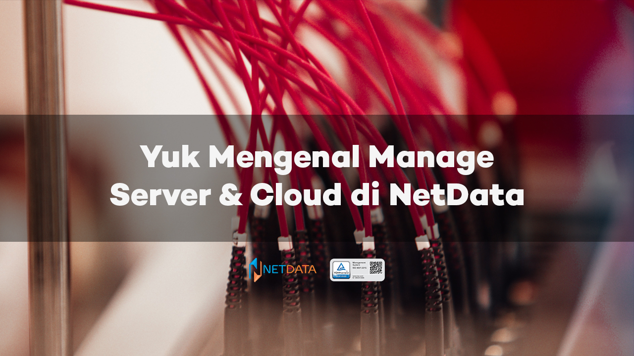 Yuk Mengenal Manage Server & Cloud di NetData ~ PT. Network Data Sistem